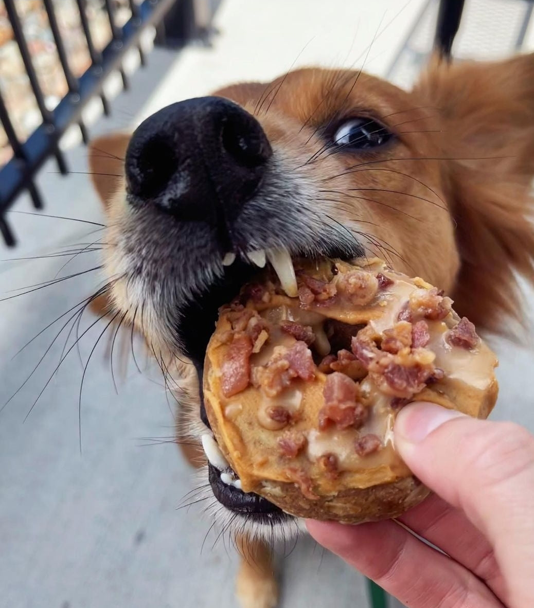 About Us – Must be Ruff